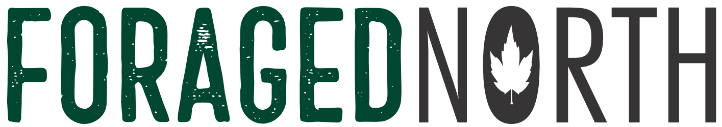 Canadian Wild Rice & Foraged Goods | Foraged North | Foraged North